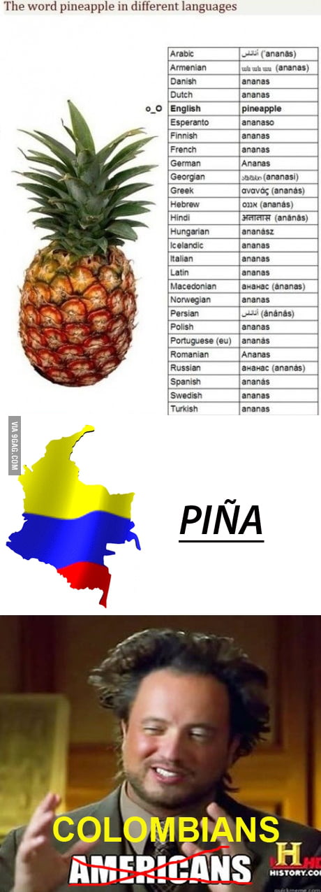 Pina Memes Amazon.com: If You Like Pina Gorillas Funny Cute Gorilla