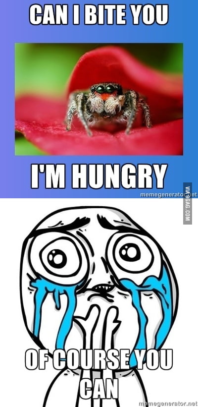 Jumping Spider Meme Funny