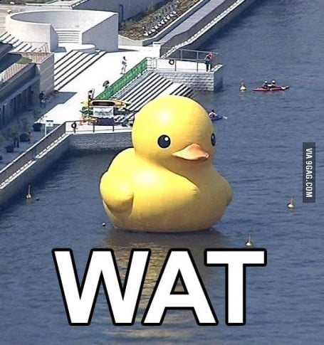 Giant Rubber Duck Meme