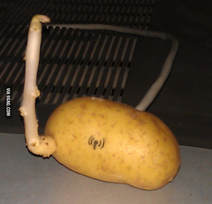 Potato Wifi - 9GAG
