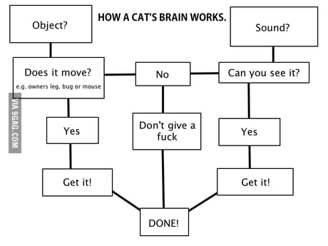 Moving Funny Flow Chart