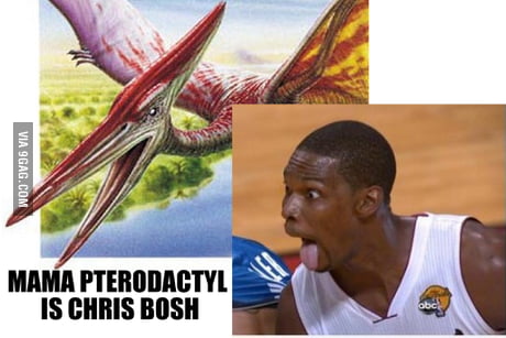 Chris Bosh Meme