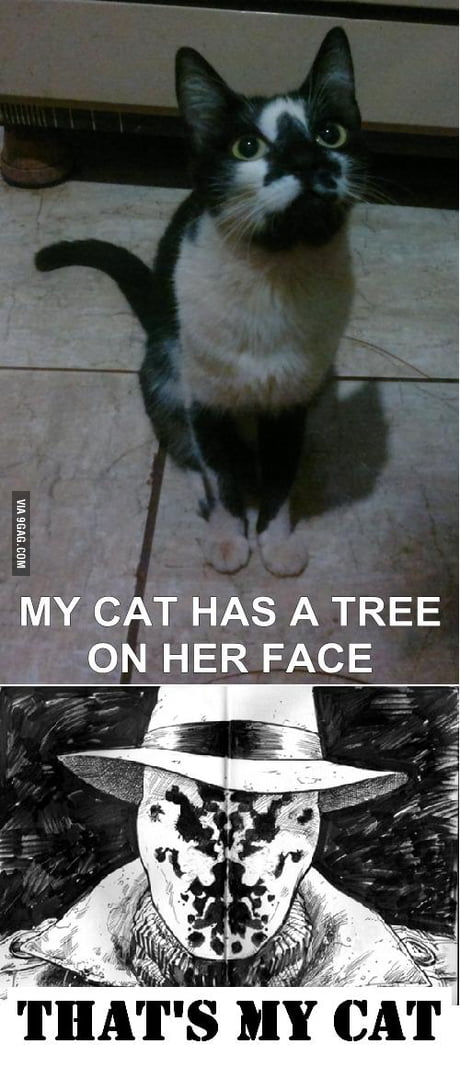 Your Argument Is Invalid Cat