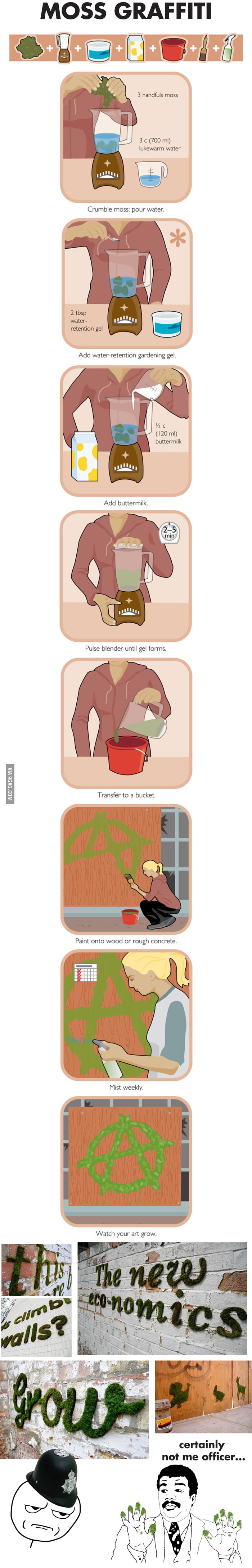 Moss graffiti HOW TO - 9GAG