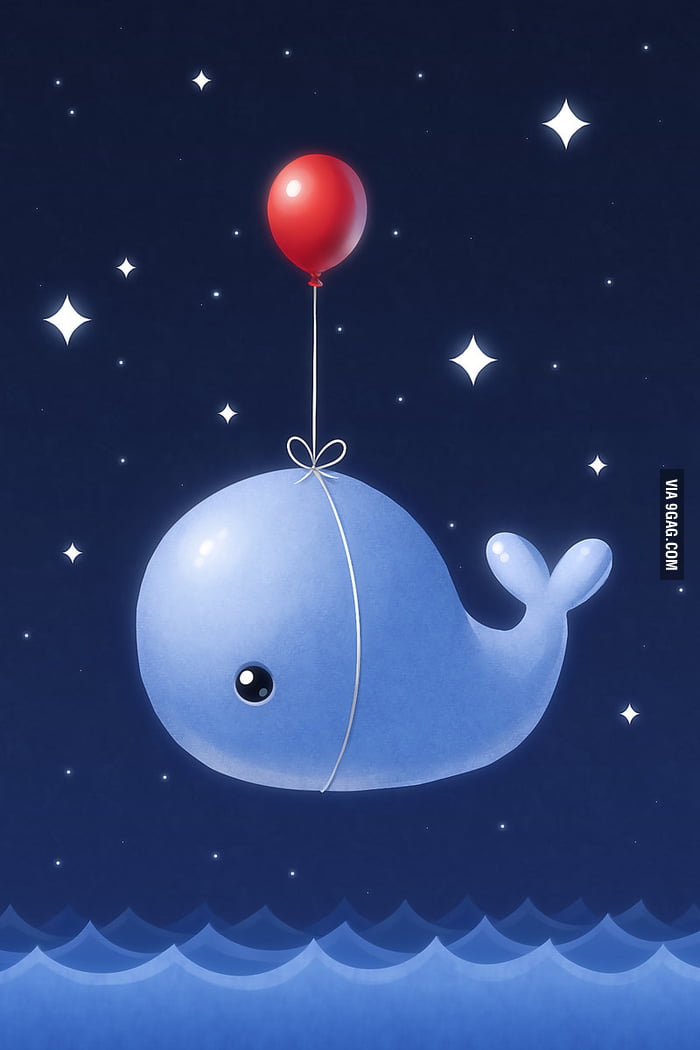 Cute Twitter Whale - 9GAG