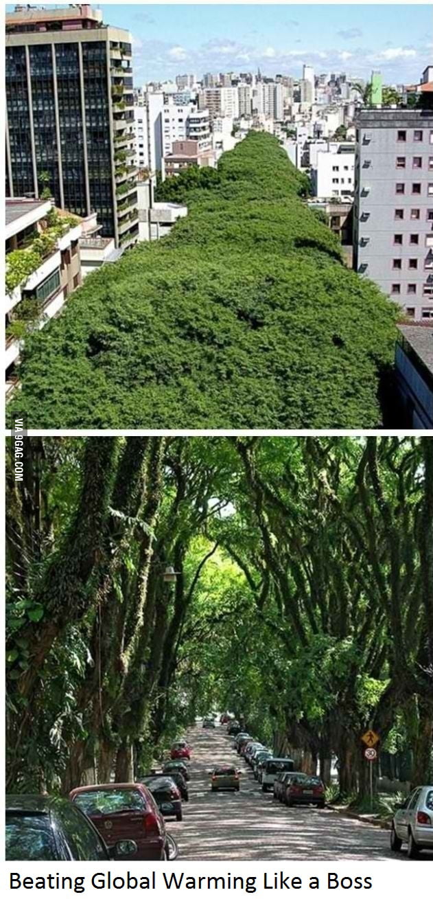 Meanwhile in Porto Alegre, Brazil... - 9GAG