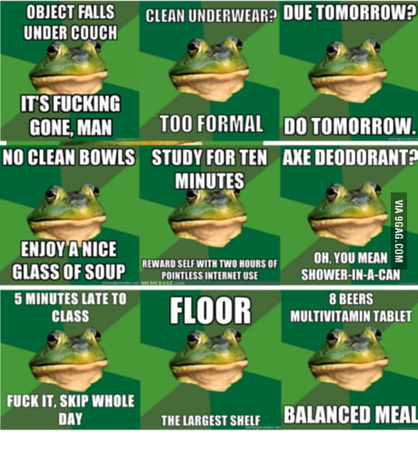 Clean Bachelor Frog