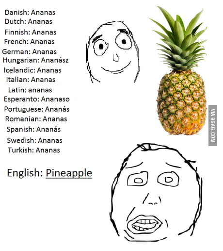 Ananas Pineapple Meme