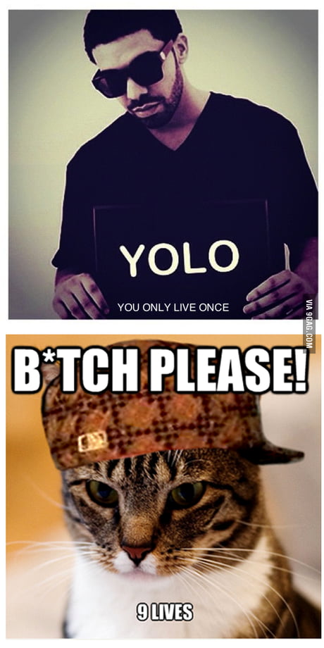 Yolo Cat Memes