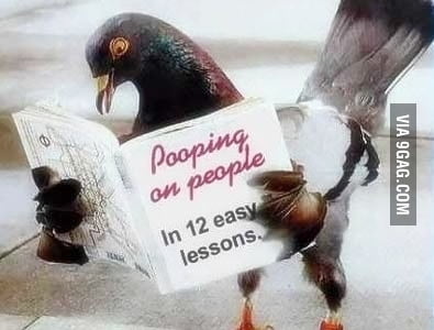 How To Poop On People Guide - 9GAG