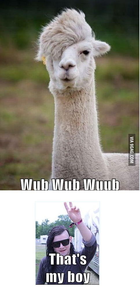 Wubububub Wuuub - 9GAG