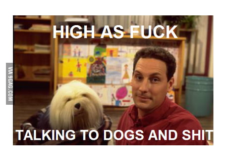 Samson Gert Memes