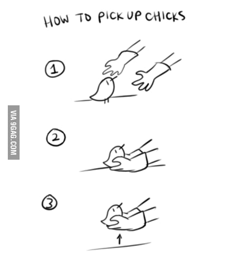 How to pick up chicks! - 9GAG