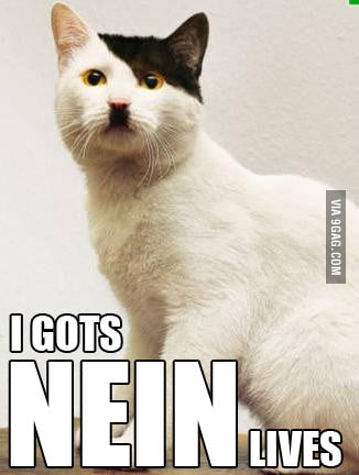 Beste Hitler Cat Memes Huh? Cat | Know Your Meme