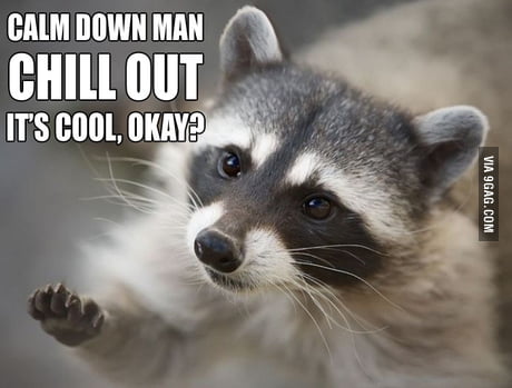 Chilling Out Meme 21 Socially Inappropriate Memes To Chill Out With