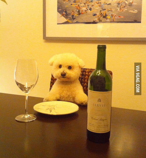 Stood up again - 9GAG