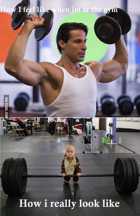 Stupid Lifting Memes