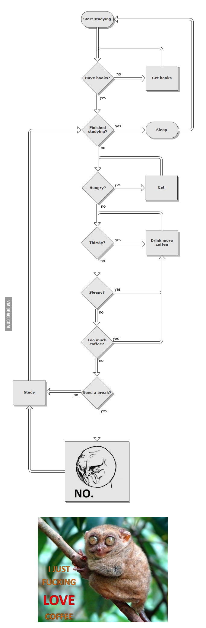 The Great Study Flowchart - 9GAG