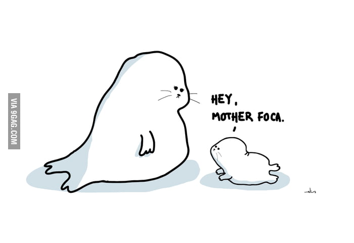 Hey, mother foca - 9GAG