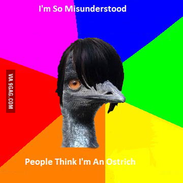 Emo Emu Memes Emo Emu Shirt Funny Animal Pun Tee Bird Lover's