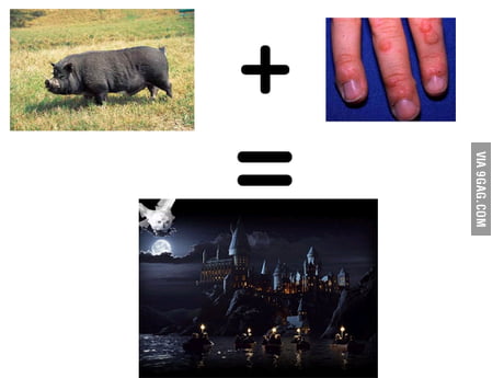 Memes Warts