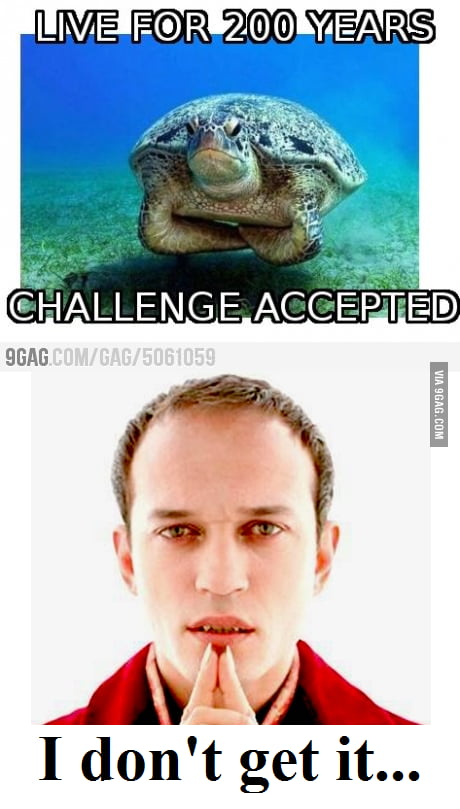 Marius Memes Exploring Marius De Saeger: Belgium's Young Hearts