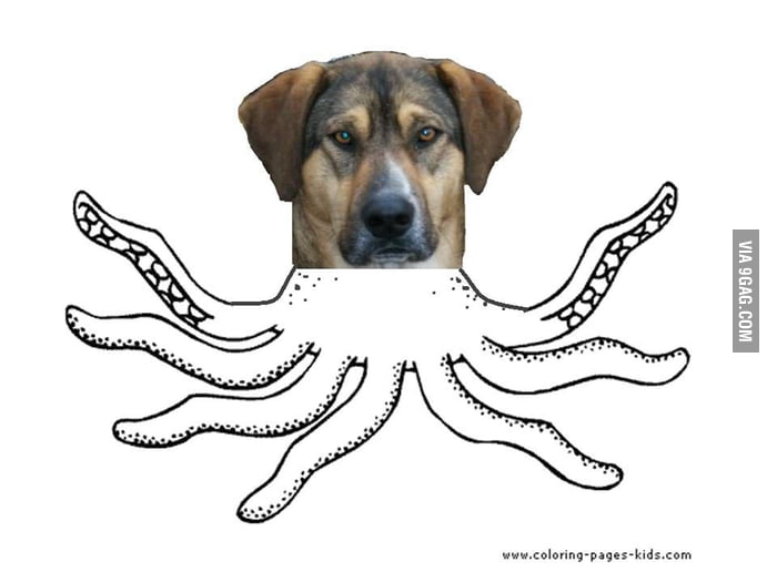 Dogapus----- Men's Underwater Best Friend - 9GAG