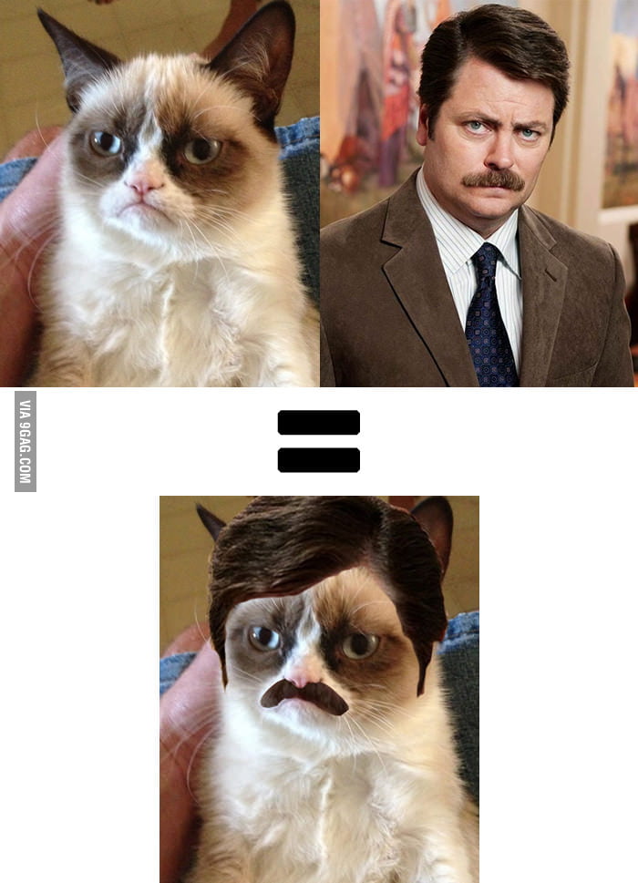 Grumpy Cat + Ron Swanson - 9GAG