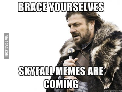 Skyfall Memes