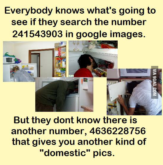 241543903 VS. 4636228756 - 9GAG