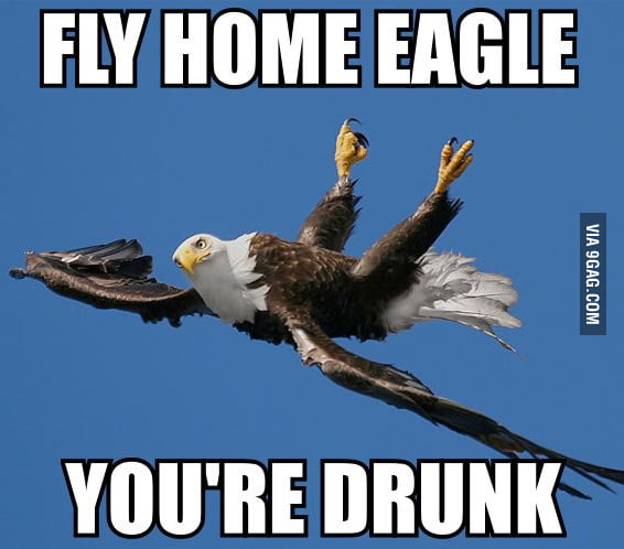 Drunk eagle - 9GAG