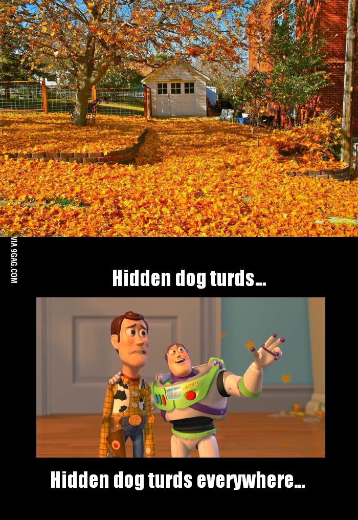That's why I hate autumn - 9GAG