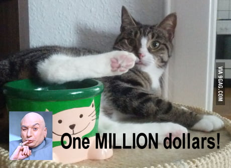 Dr Evil One Million Dollars With Cat