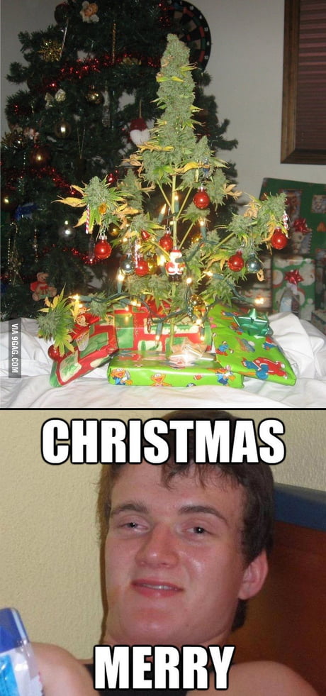 Stoner Christmas Memes Have A Marijuana Kushmas Merry Christmas For