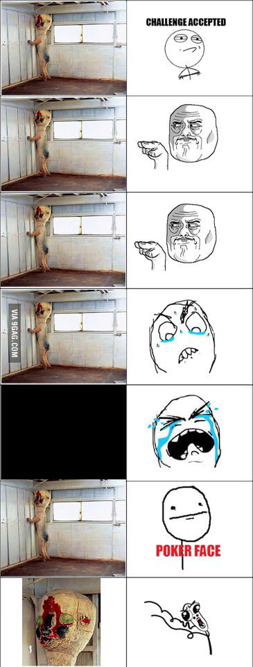 9gag Meme Challenge Accepted