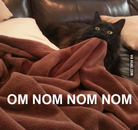 Om Nom Nom Memes It's Always Twitter YouTube