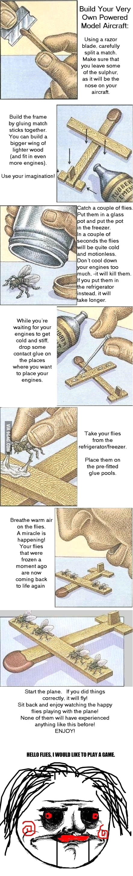 HELLO FLIES, I WOULD LIKE TO PLAY A GAME. - 9GAG