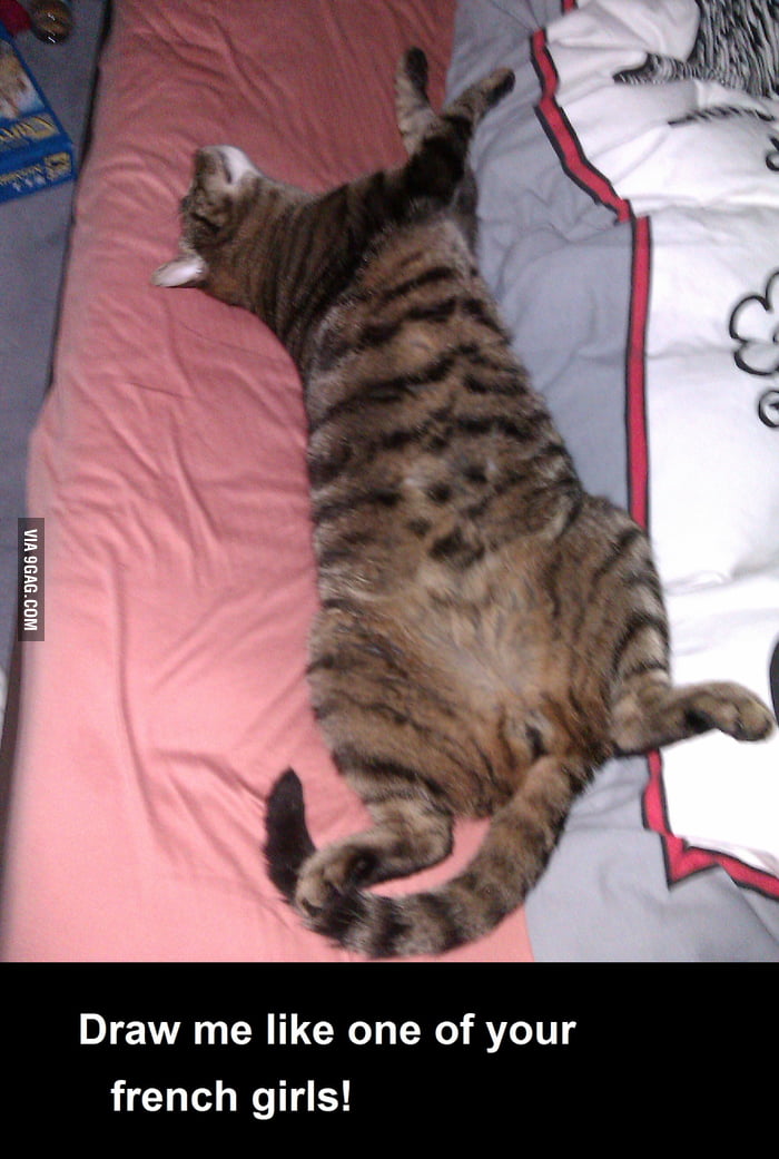 Draw me like one of your french girls! - 9GAG