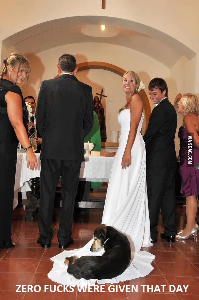 Zero Fu#ks Were Given That Day - 9GAG