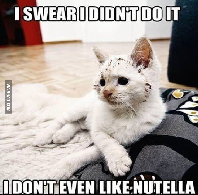 Nutella cat - 9GAG