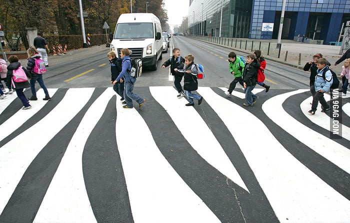 An actual zebra crossing in front of a ZOO in Zagreb, Croatia - 9GAG