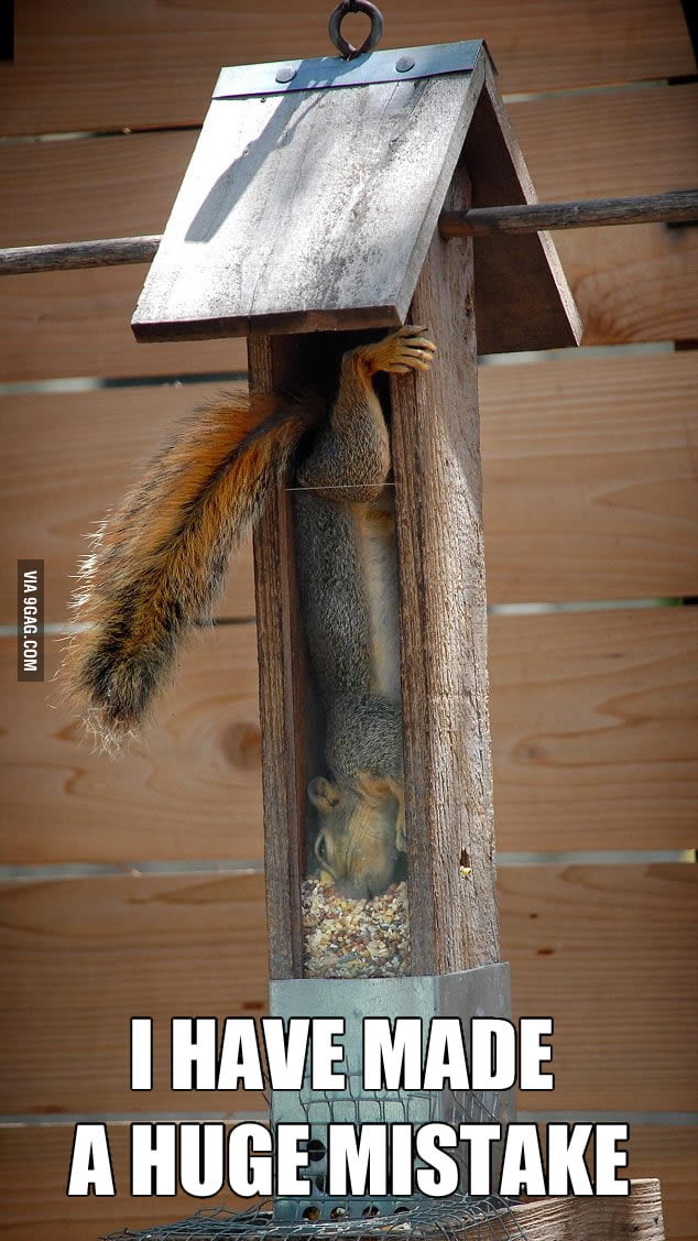 Yes You Did 9GAG yes-you-did-9gag