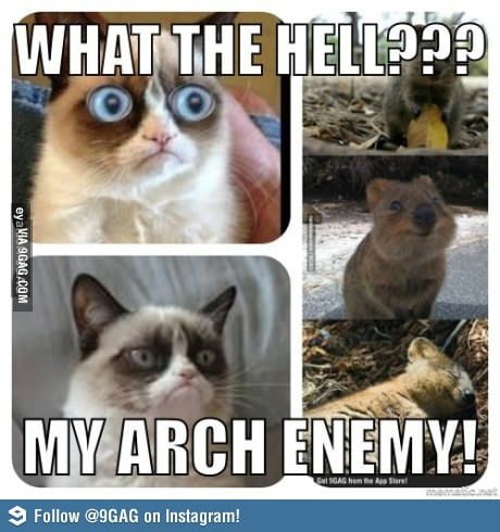 Memes Arch Enemy