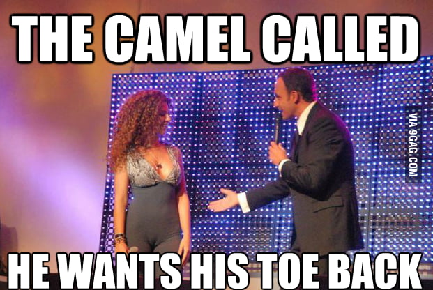 Myriam Fares's Cameltoe - 9GAG