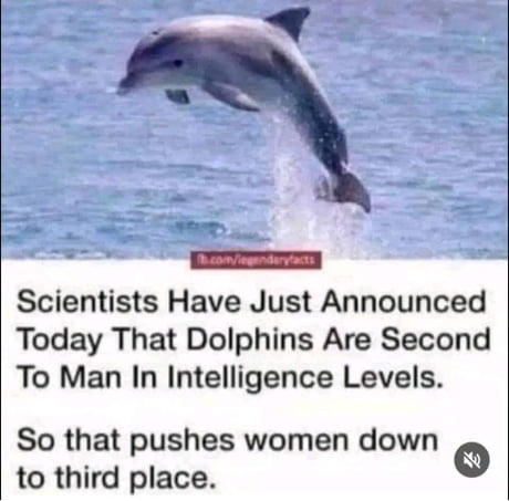 Best Funny pixels Memes - 9GAG