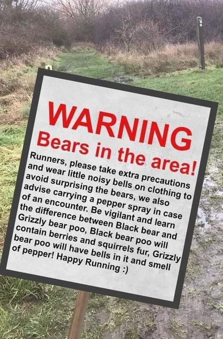 Best Funny bears Memes - 9GAG