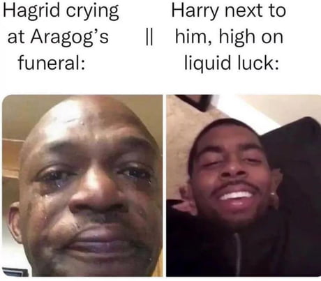 Best Funny aragorn Memes - 9GAG