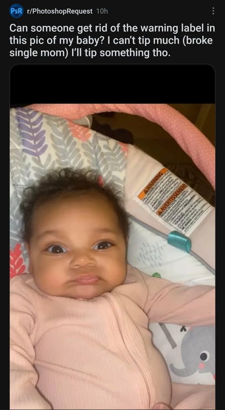 Best Funny mudshark Memes - 9GAG