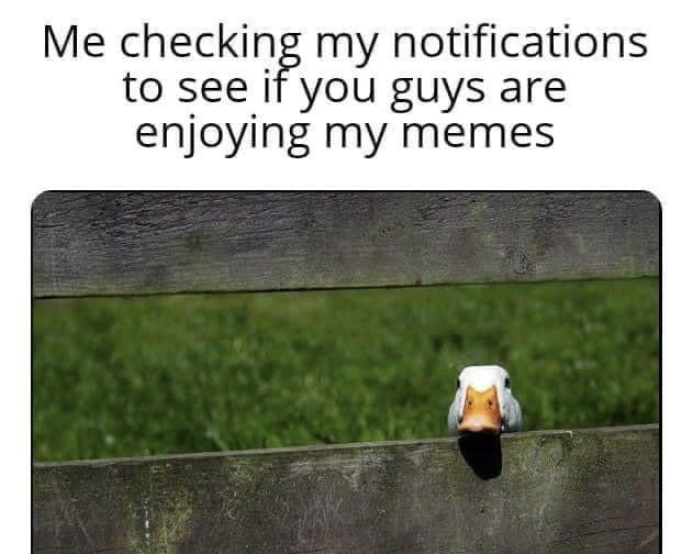 Only sometimes - 9GAG