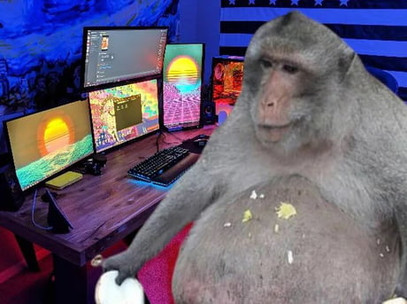 Best Funny rate my setup Memes - 9GAG